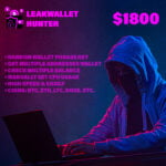 Leakwallet Hunter (MULTI) - Leakwallet